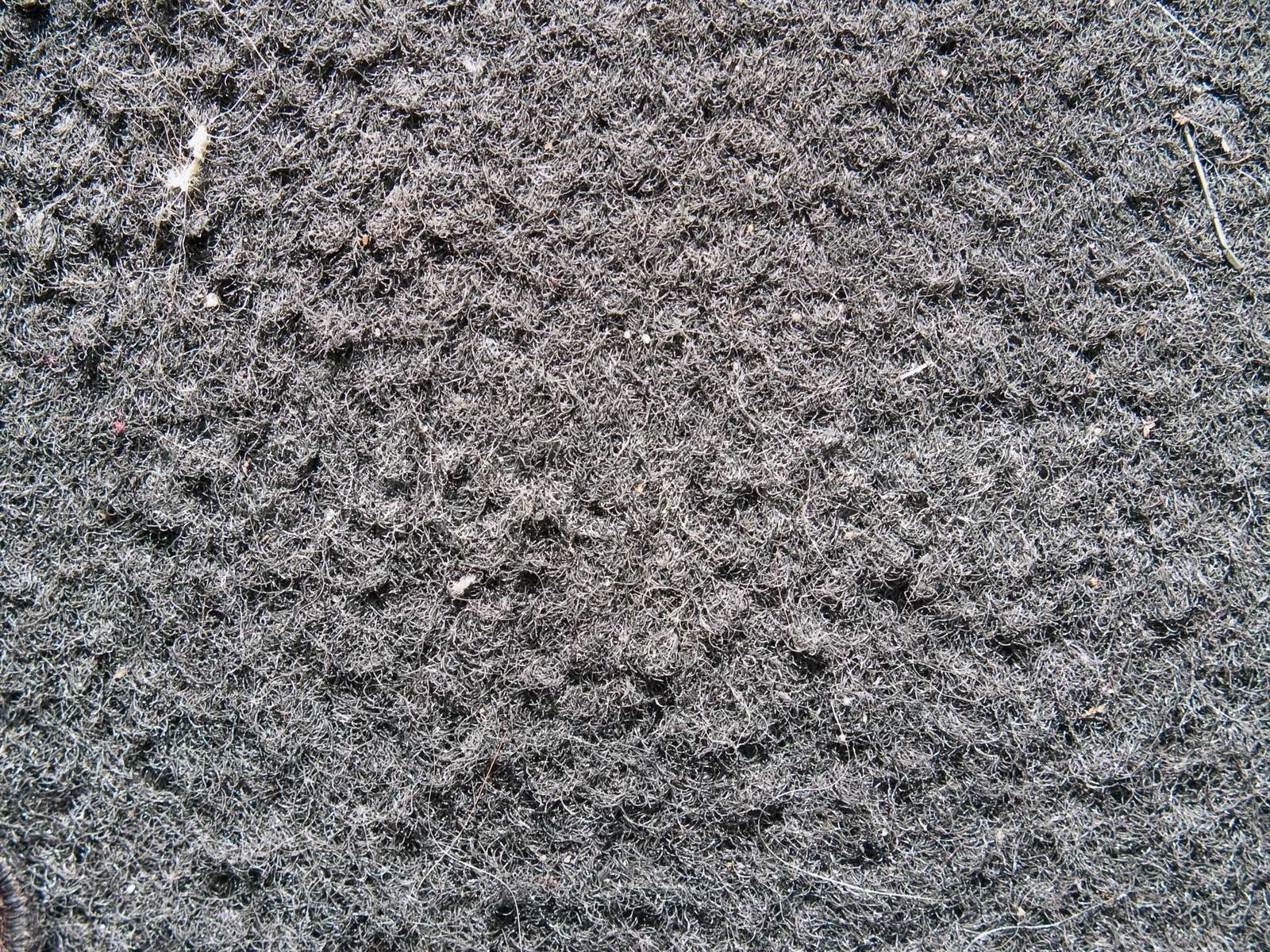 Teppich Textur | Stock Bild | Colourbox