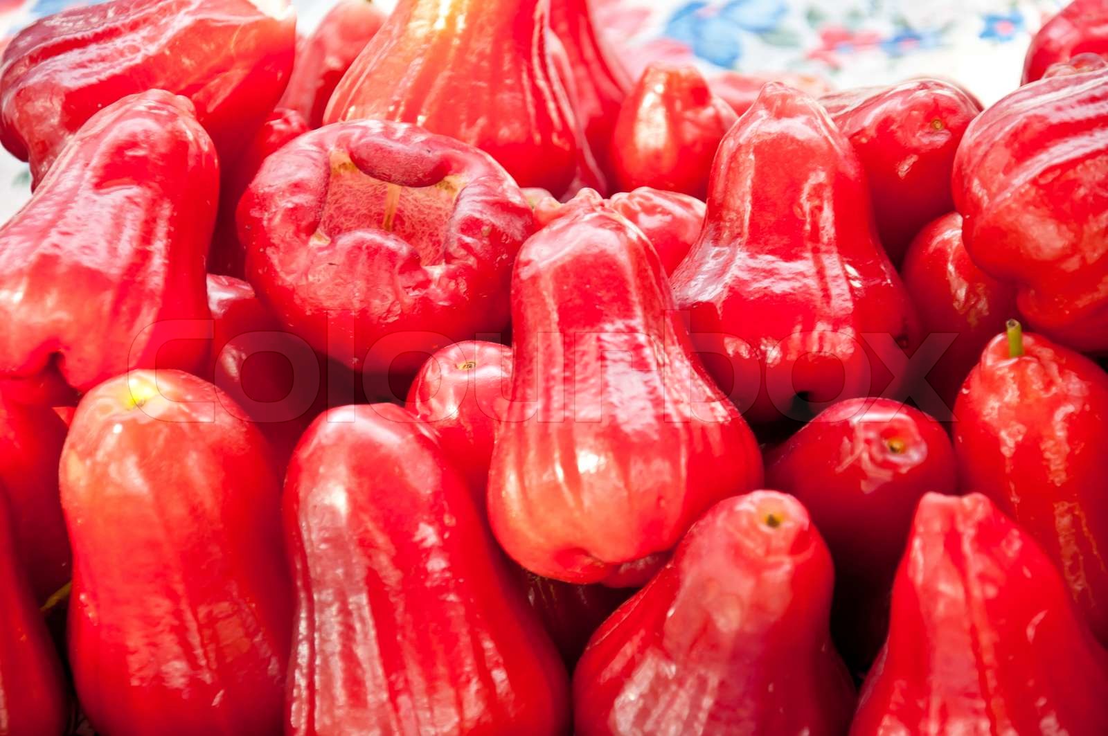 Rose apple | Stock image | Colourbox