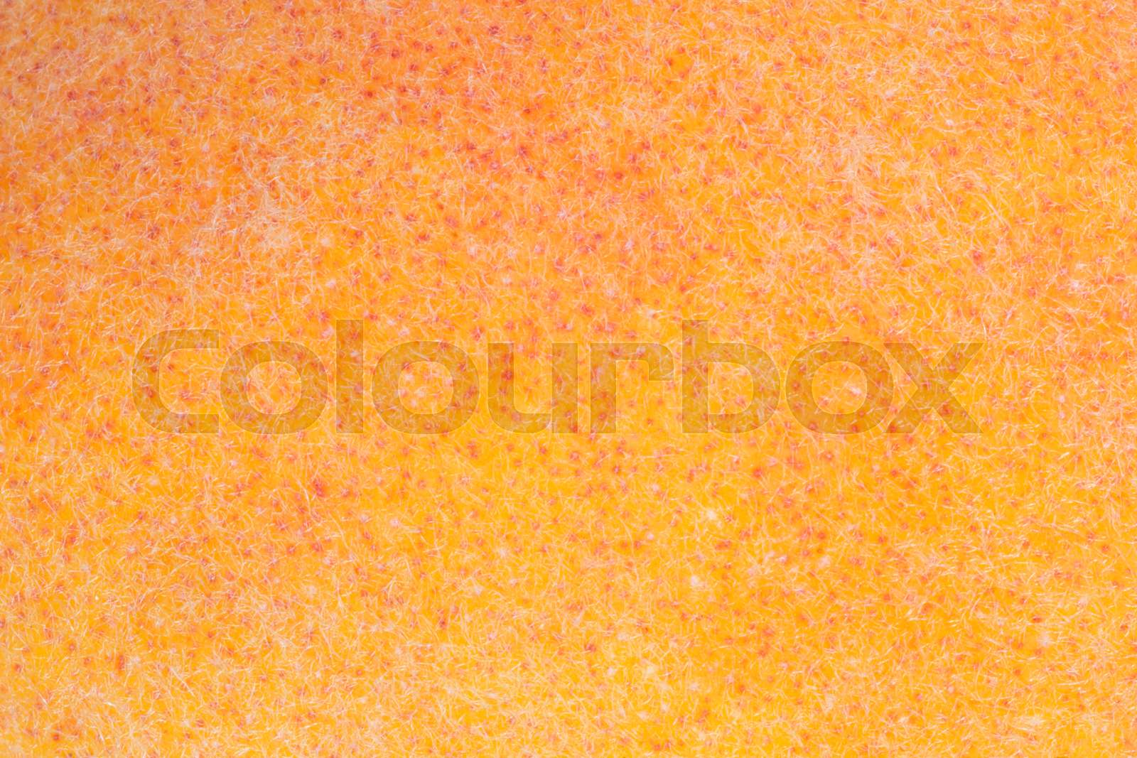 close up of ripe peach texture | Stock image | Colourbox