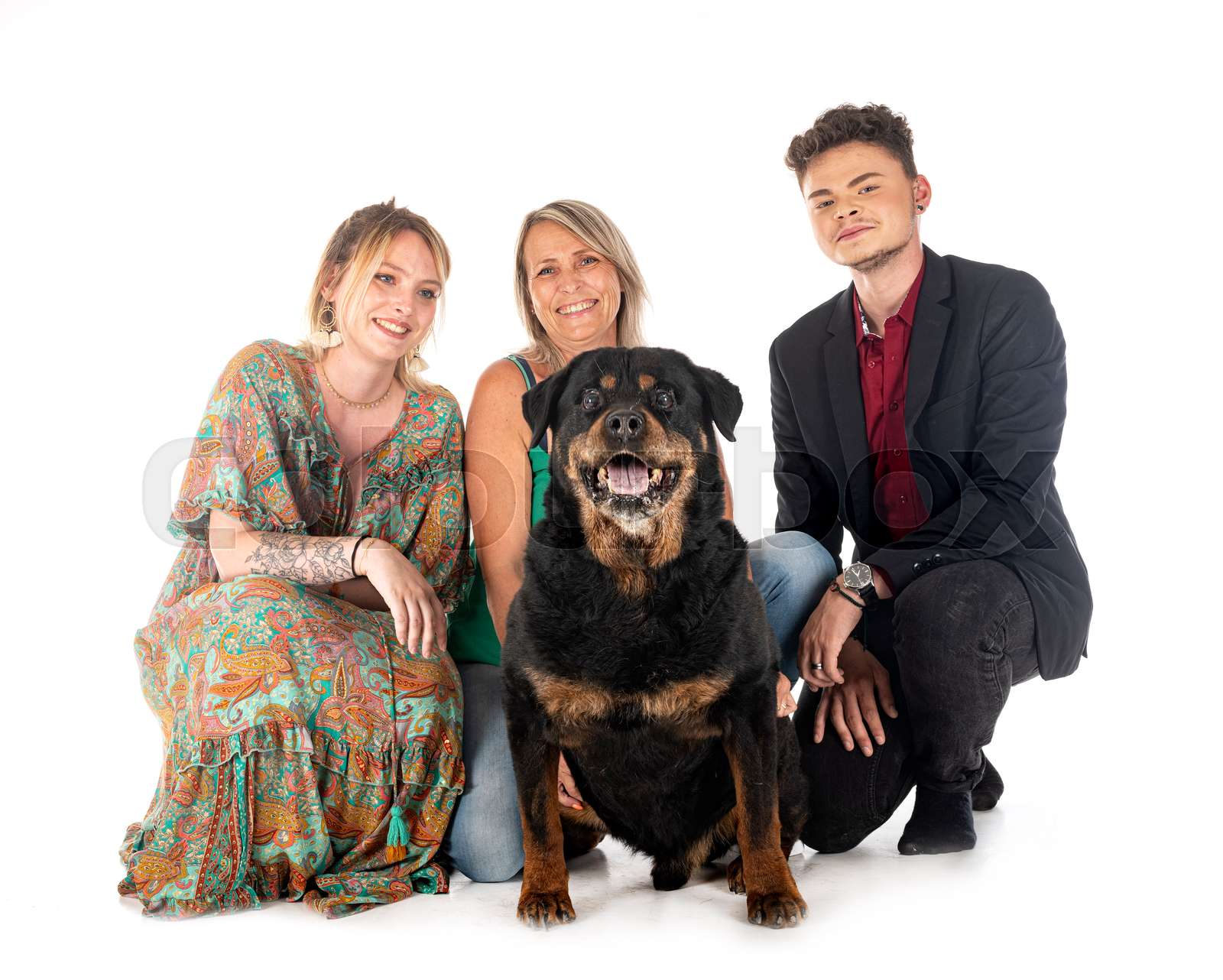 old rottweiler and owners in studio | Stock image | Colourbox