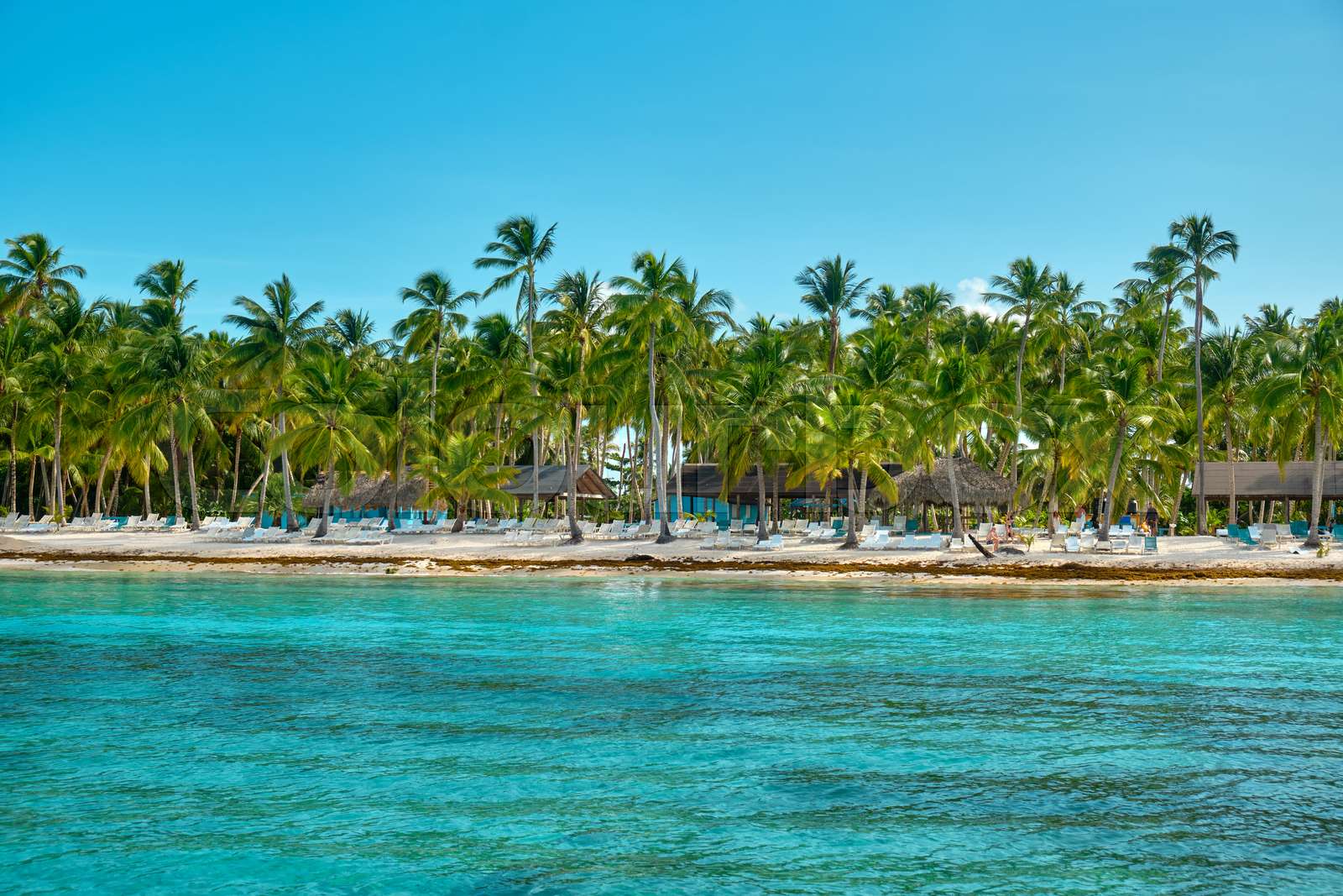 Beach on Saona Island in the Caribbean Sea. | Stock image | Colourbox