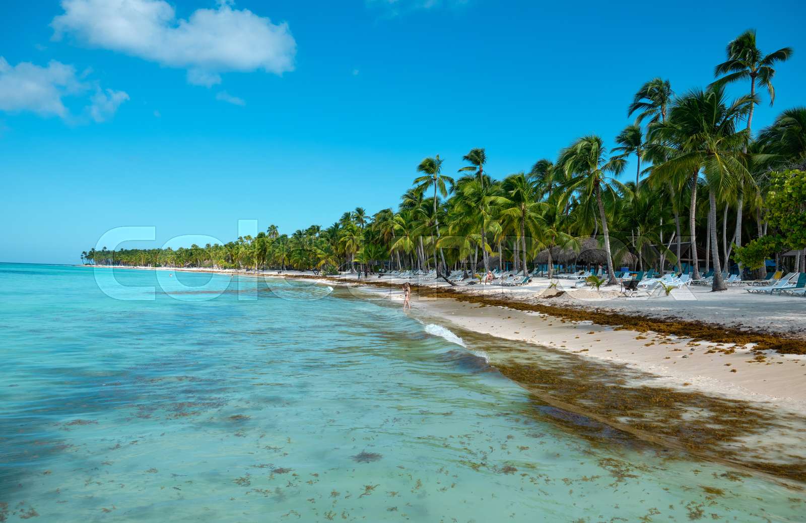Beach on Saona Island in the Caribbean Sea. | Stock image | Colourbox