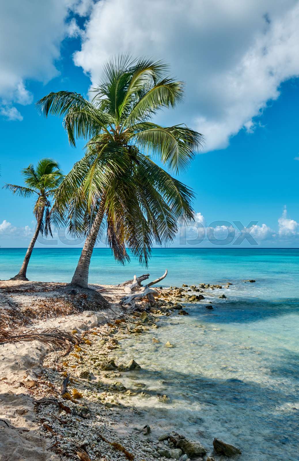 Beautiful seascape. Saona Island and the Caribbean Sea. | Stock image ...