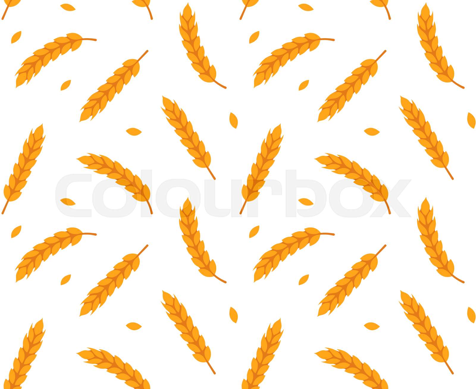 Seamless wheat pattern | Stock vector | Colourbox