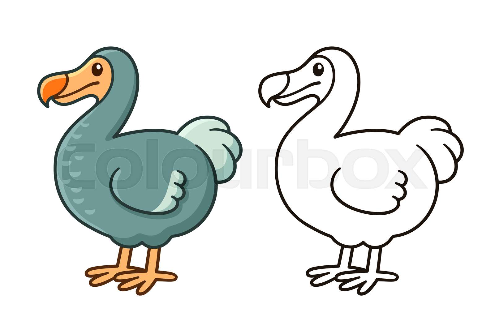 Cartoon Dodo Bird Drawing Stock Vector Colourbox