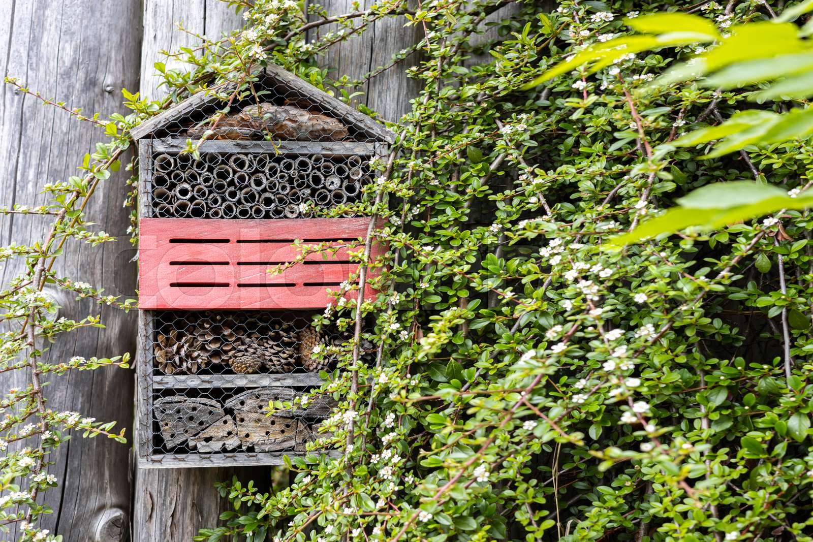 Wooden structures for shelter and insect nesting | Stock image | Colourbox