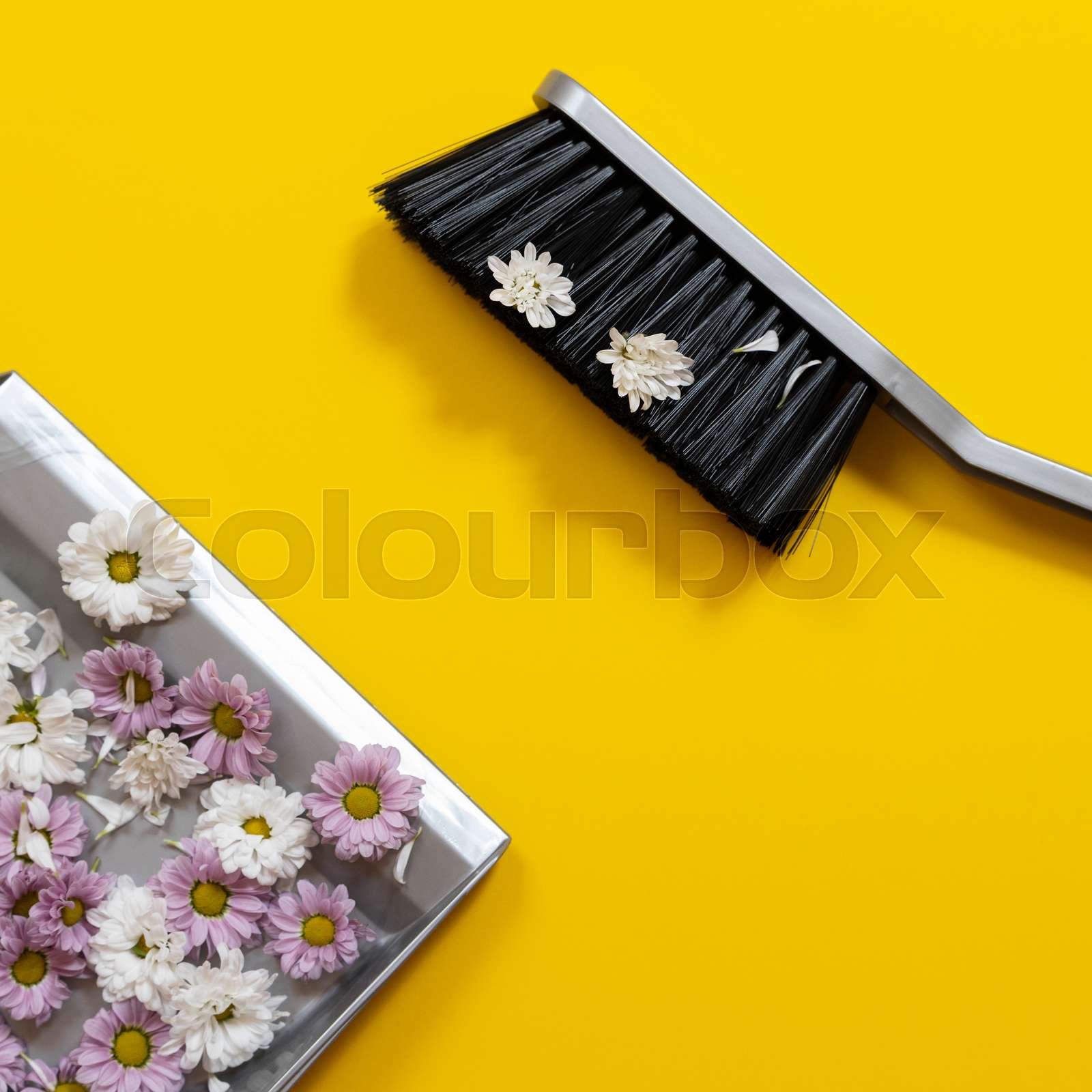 Cleaning tools layout on yellow. | Stock image | Colourbox