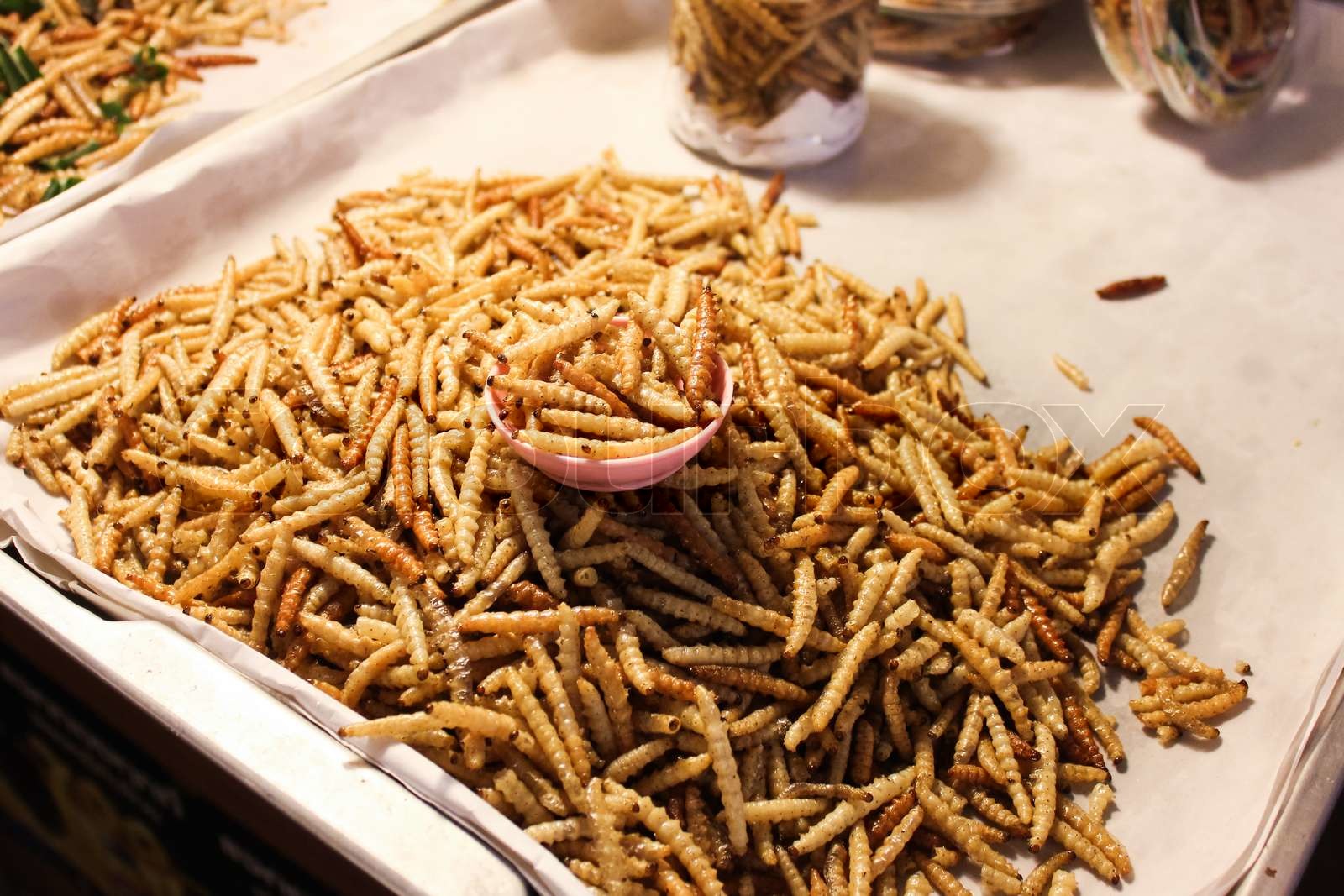 Fried bamboo larvae | Stock image | Colourbox