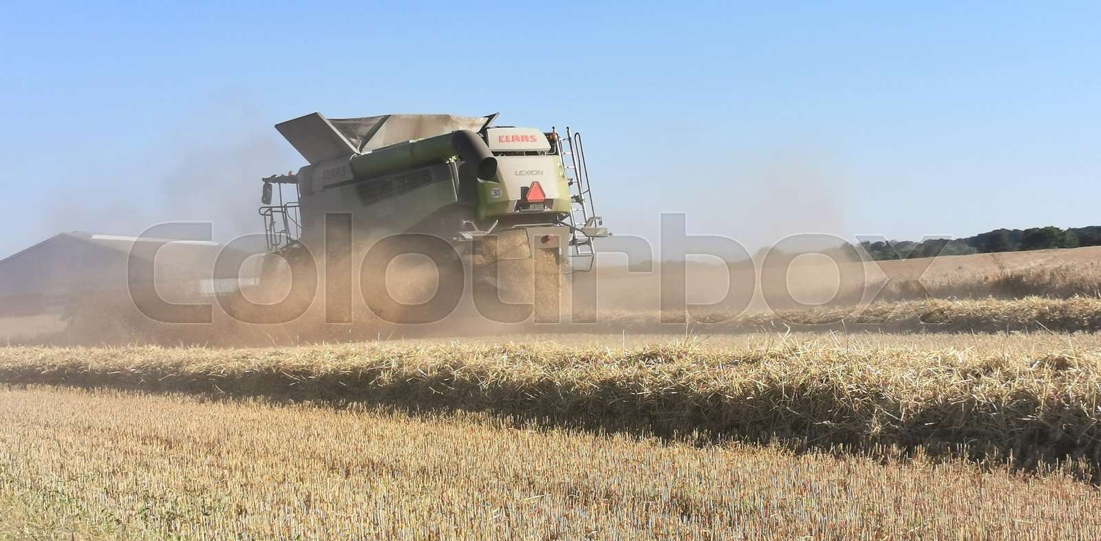 harvest, reap, reaping | Stock image | Colourbox