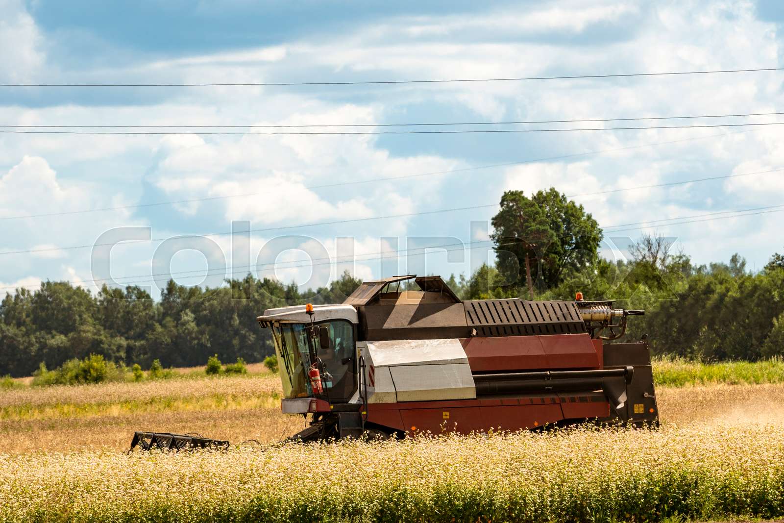 Working Harvesting Combine in the Field | Stock image | Colourbox