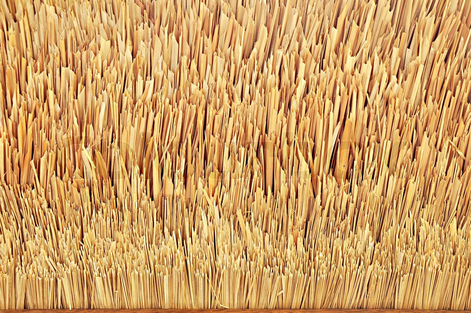Tip of thatch roof texture | Stock image | Colourbox