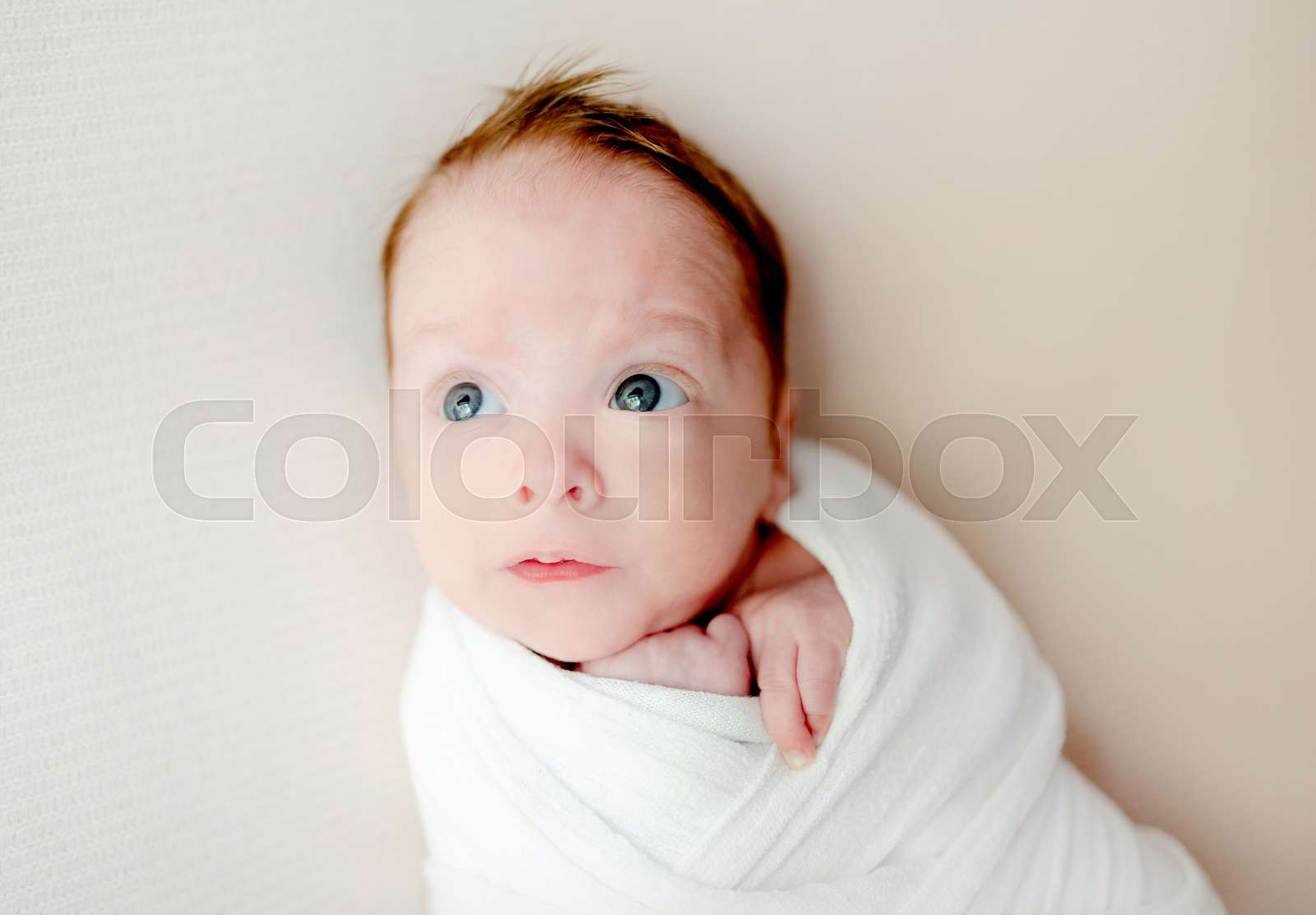 Newborn baby portrait | Stock image | Colourbox