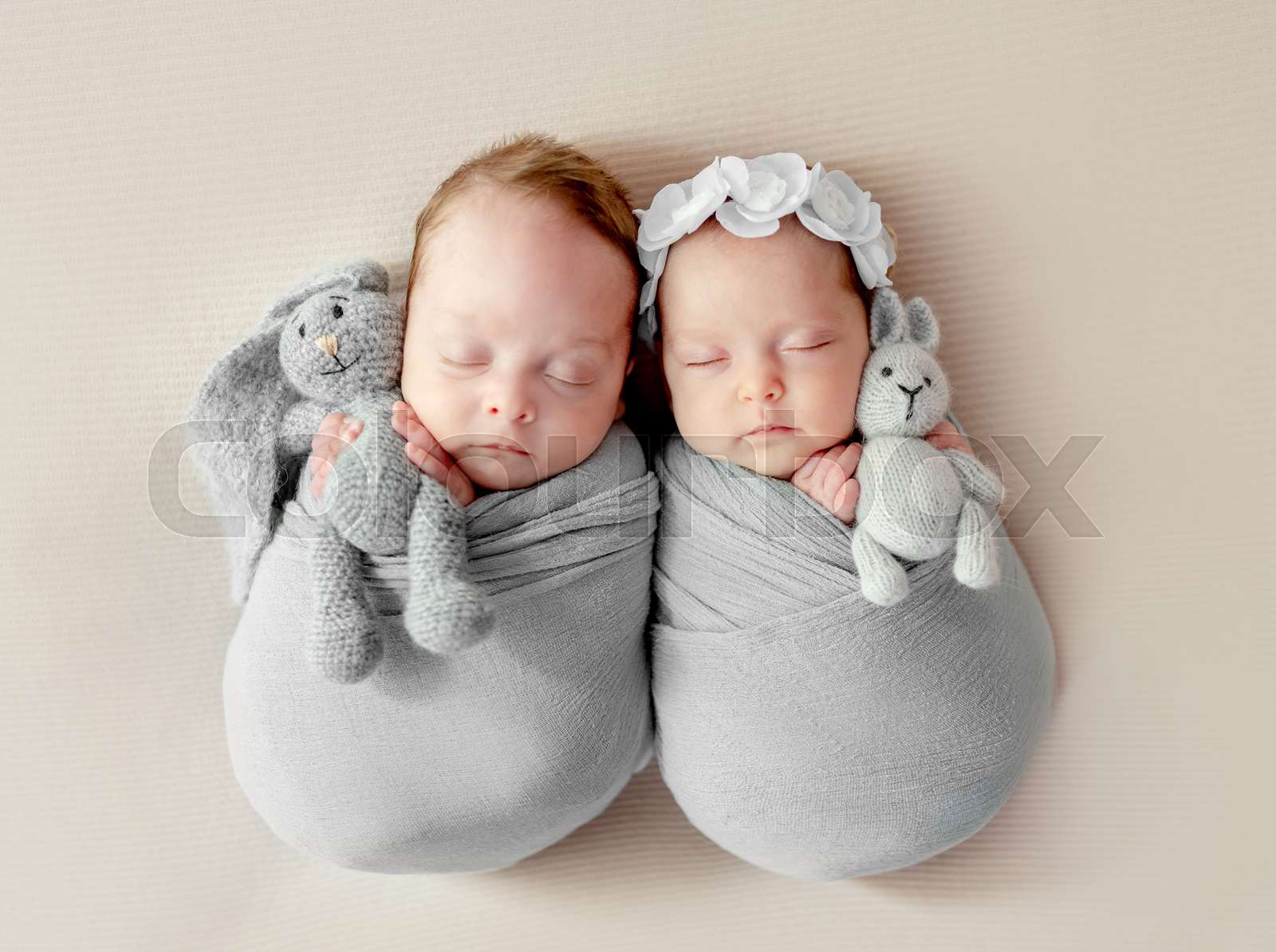 Newborn baby portrait | Stock image | Colourbox