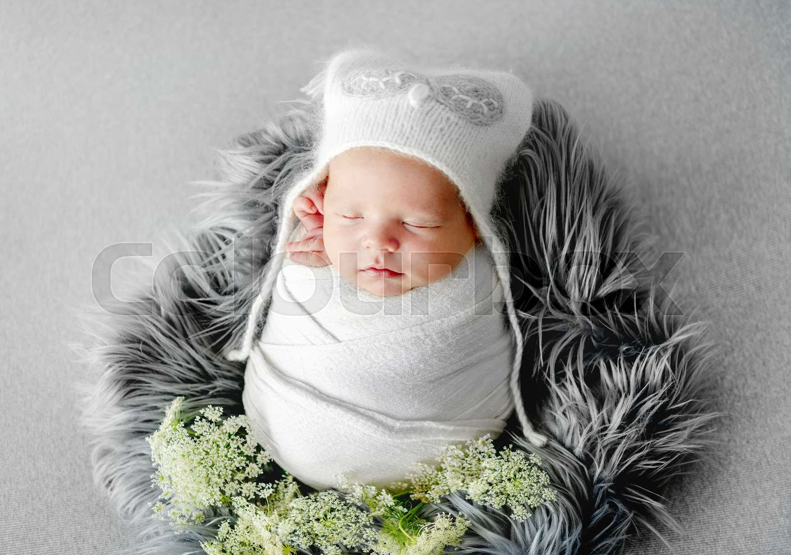 Newborn baby portrait | Stock image | Colourbox