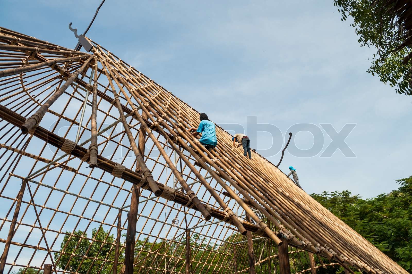 Bamboo Roof Construction | Stock image | Colourbox