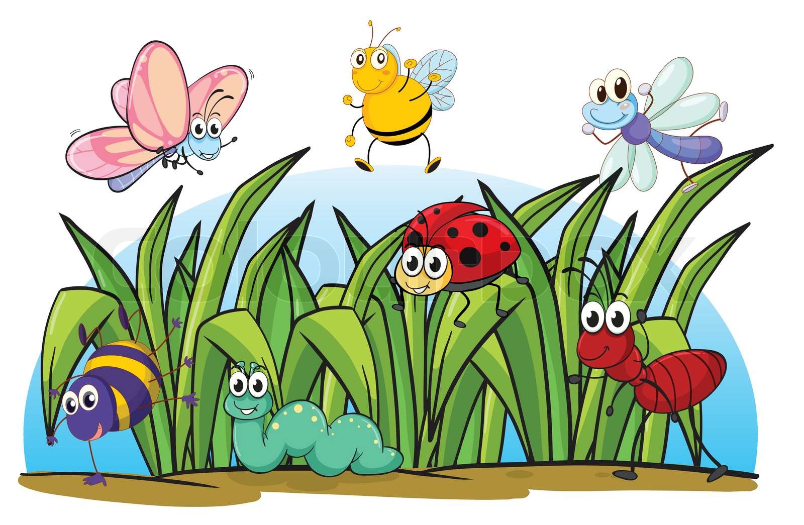 Various insects and grass | Stock vector | Colourbox