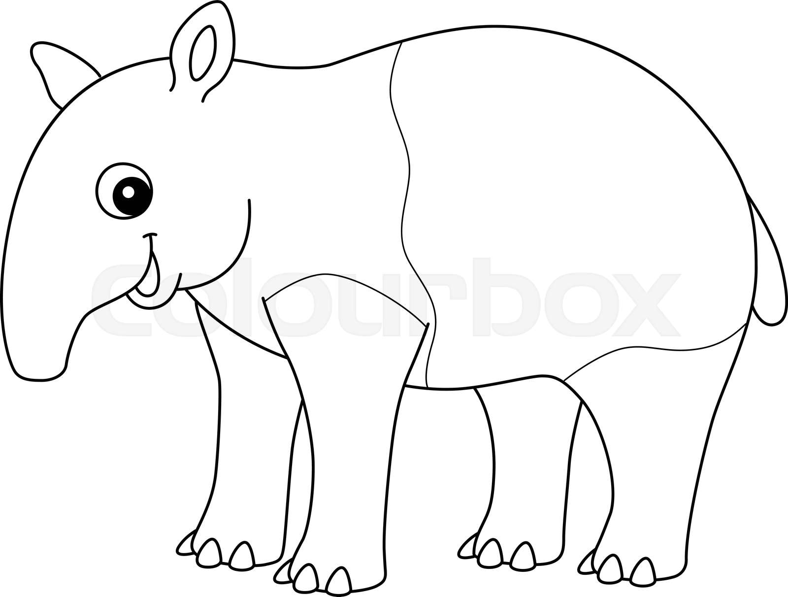 Tapir Drawing