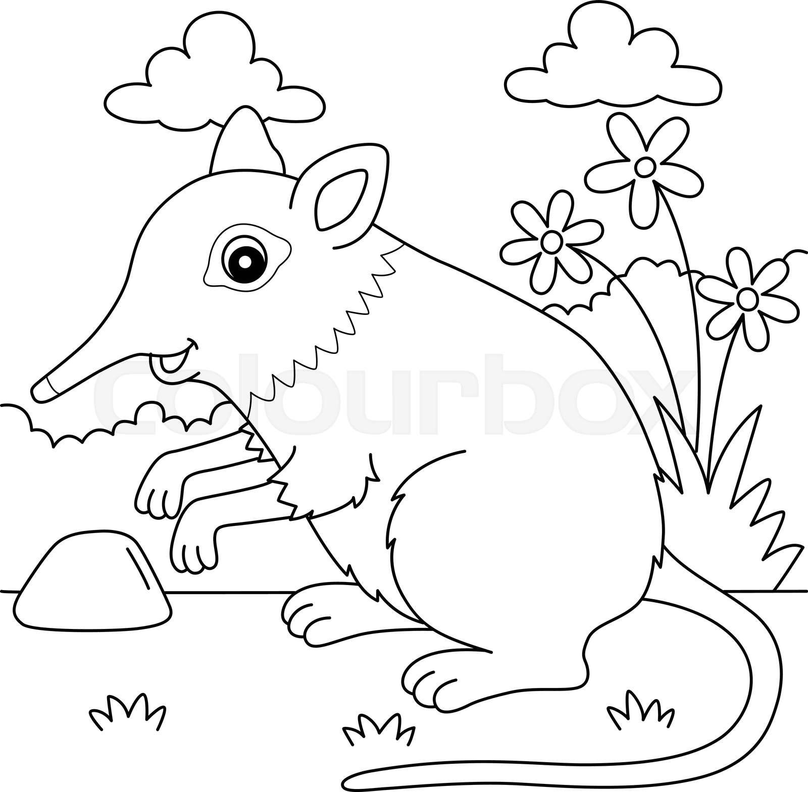 How To Draw A Shrew