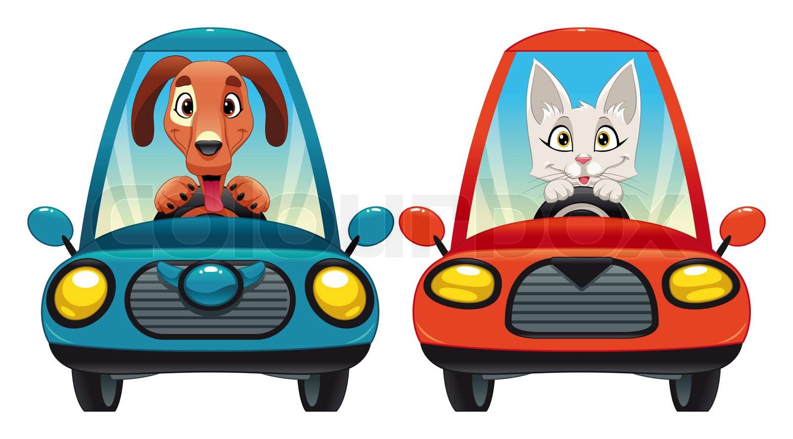 Tiere im Auto : Hund und Katze . | Stock Bild | Colourbox