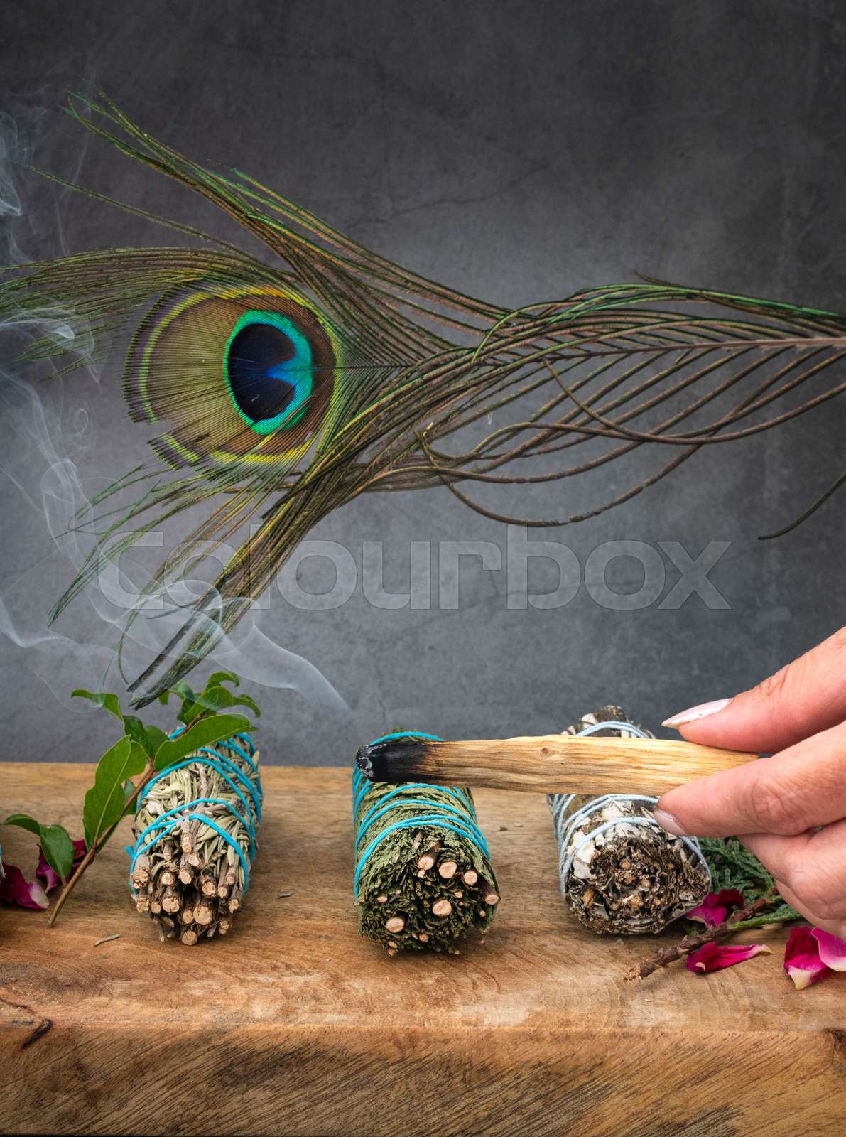 white sage incense group | Stock image | Colourbox