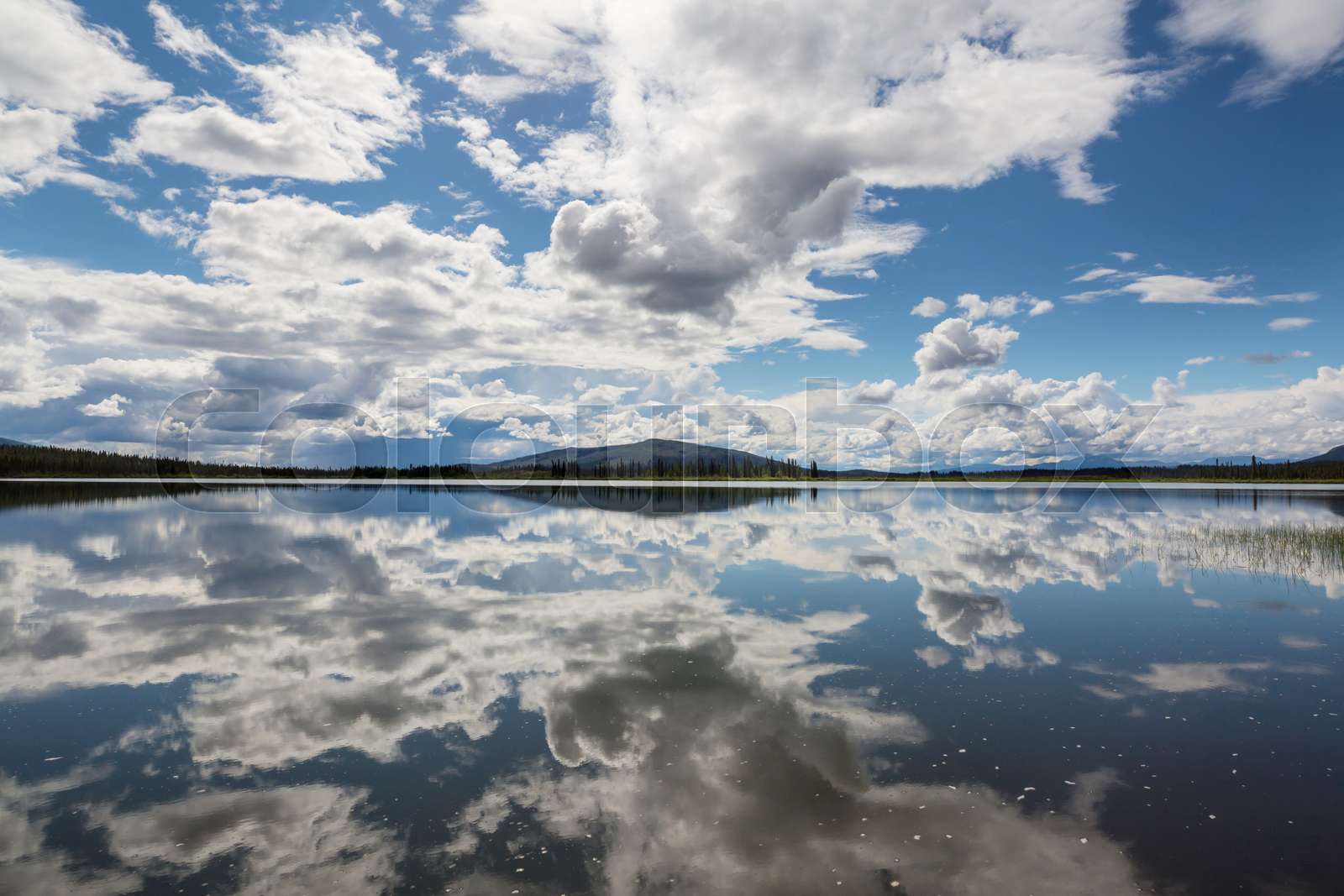 see, reflexion, naturtalent | Stock Bild | Colourbox