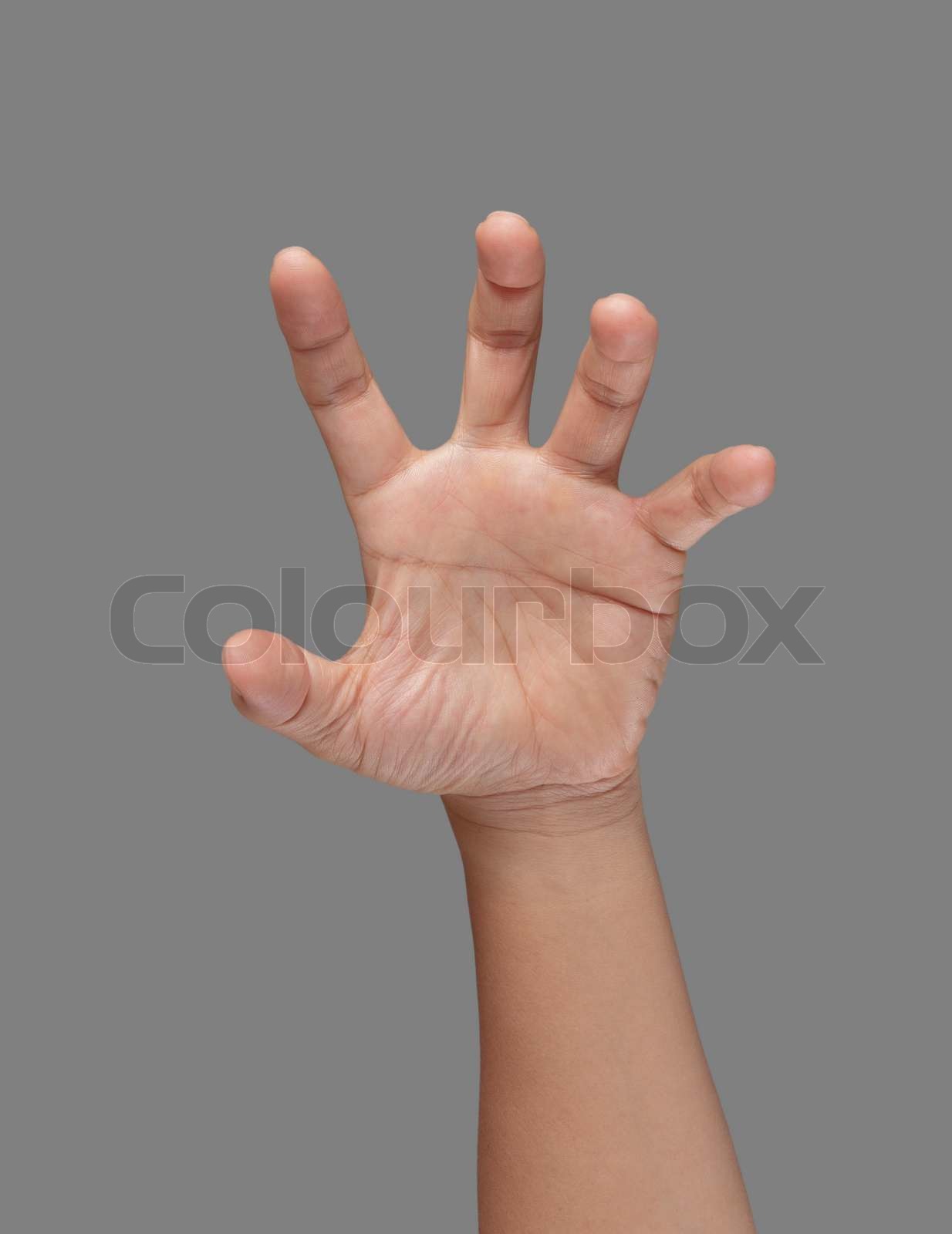 Open hand showing all five fingers | Stock image | Colourbox