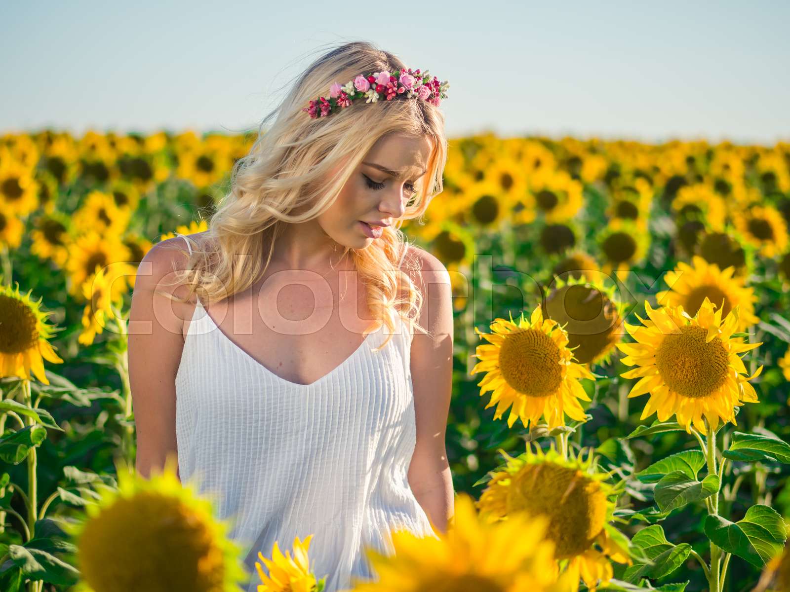Girl In Field Sunset