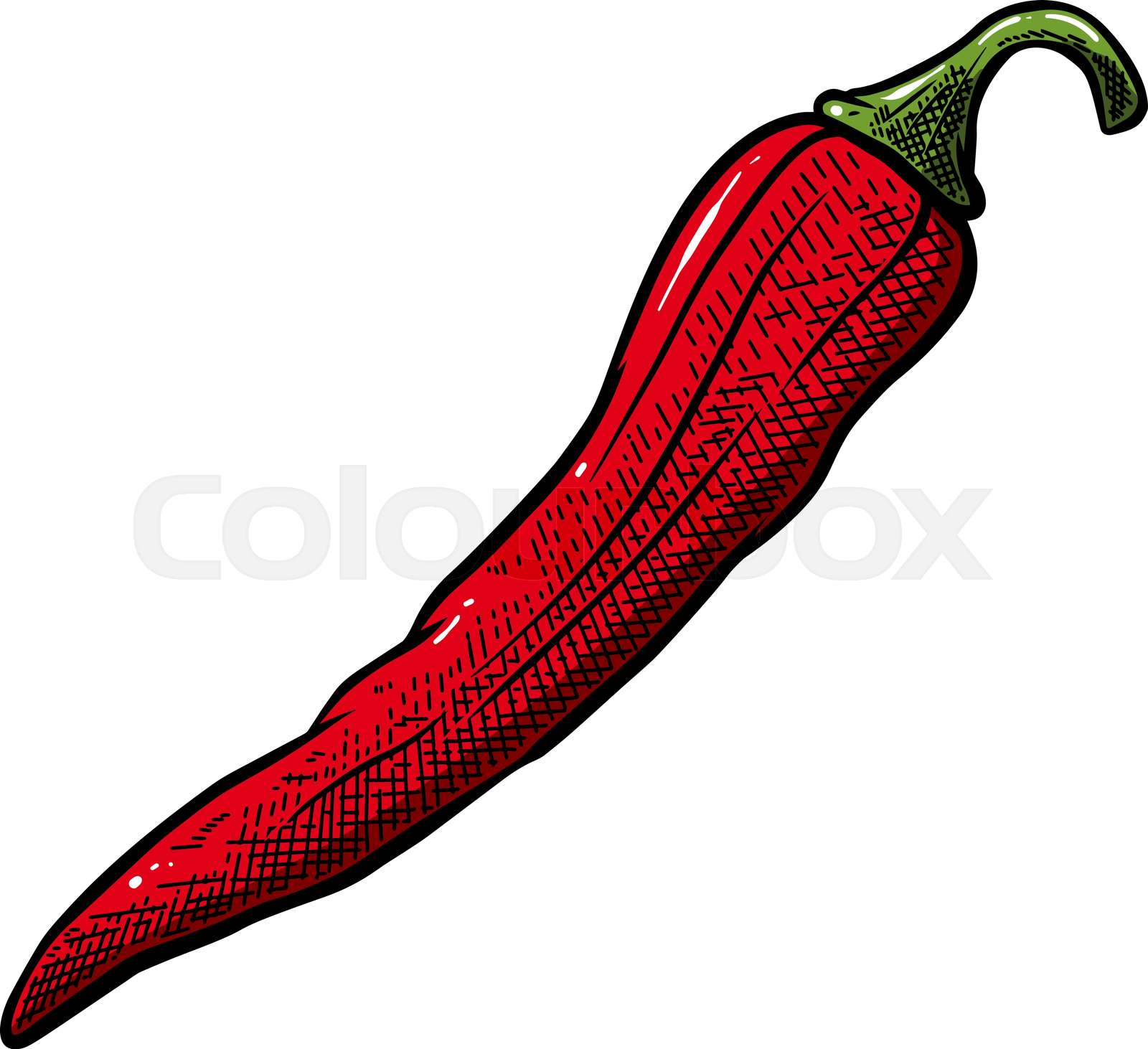 Illustration of chili pepper in engraving style. Design element for ...