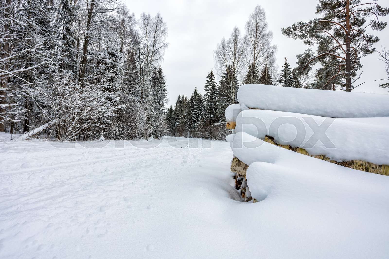 Snow covered forest road with pile of timber on side | Stock image ...