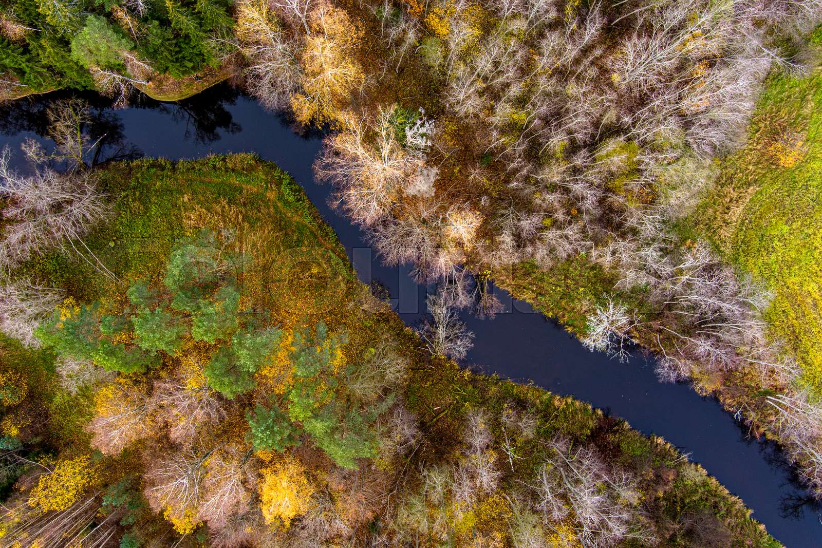 Calm forest river Aerial top down view from drone, late autumn with little foliage on trees ...