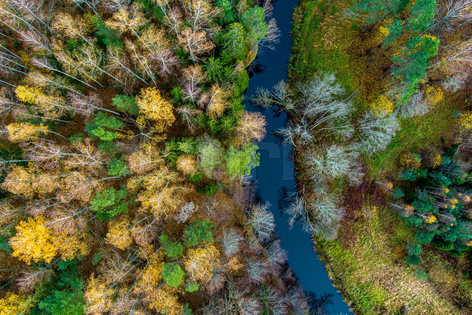 Calm forest river Aerial top down view from drone, late autumn with ...