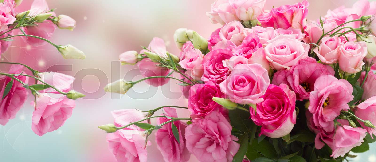 bouquet of fresh roses | Stock image | Colourbox