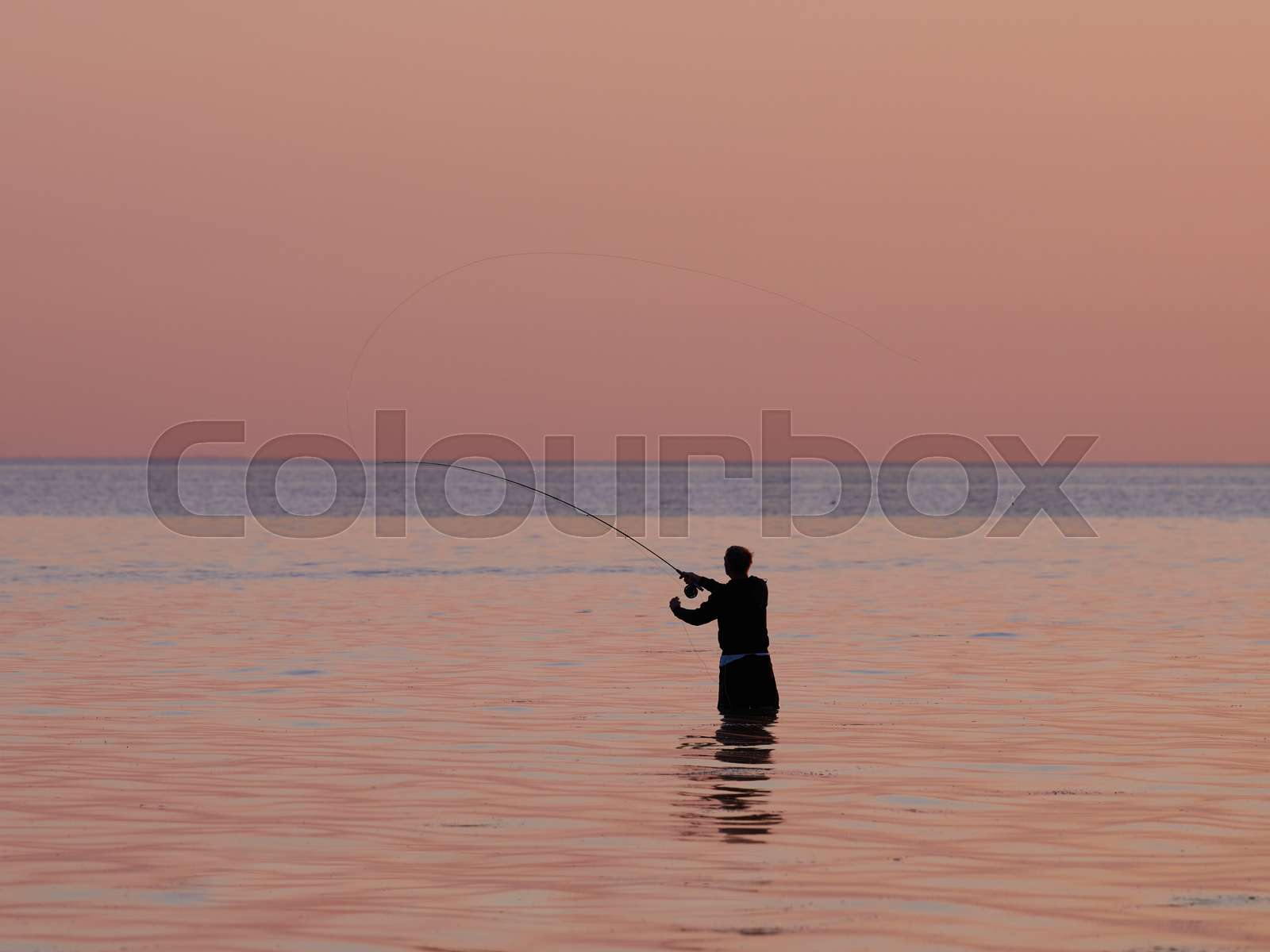 Mand der fisker ved en fjord i skumring, aften, fiske, fiskeri ...