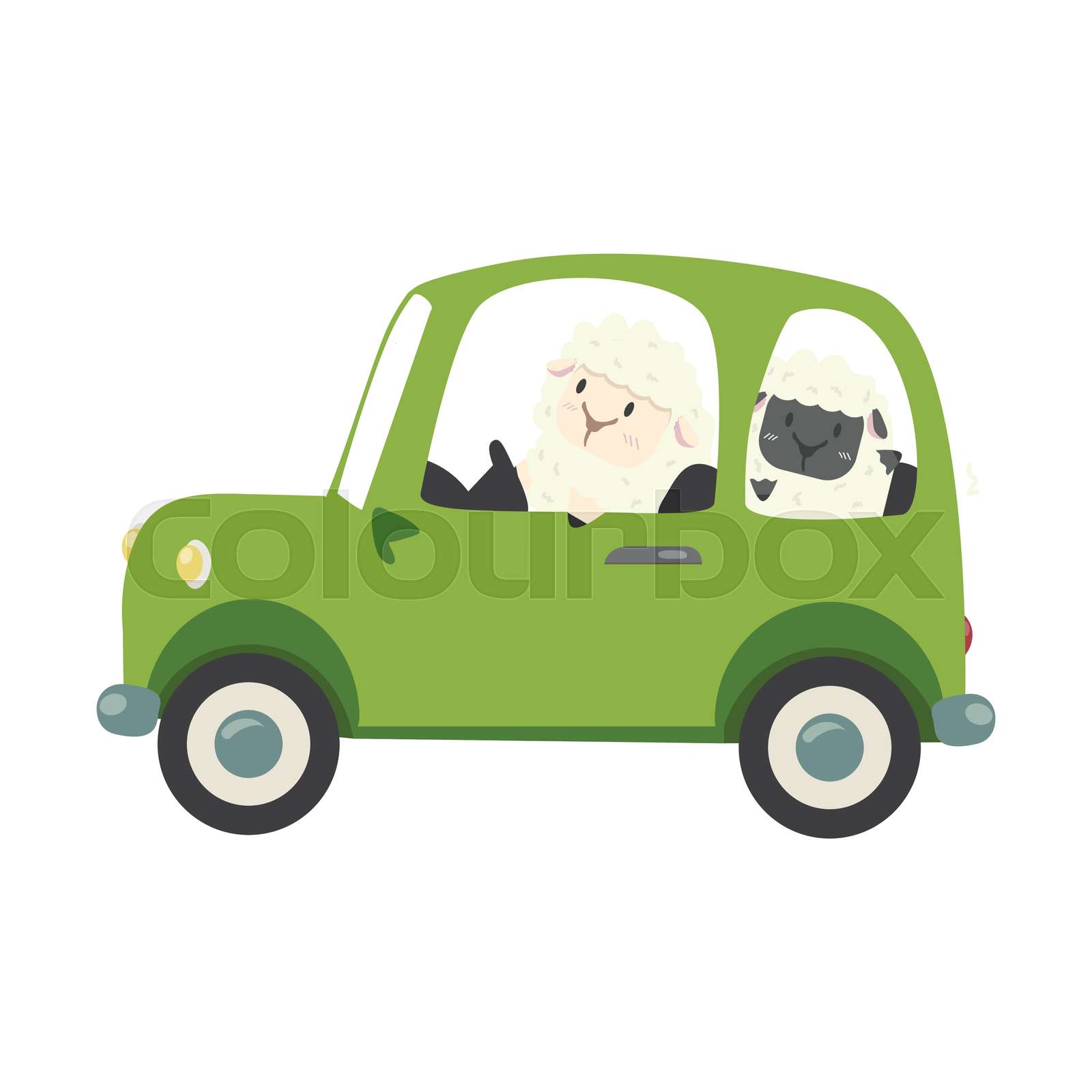 little sheep and black sheep driving car | Stock vector | Colourbox
