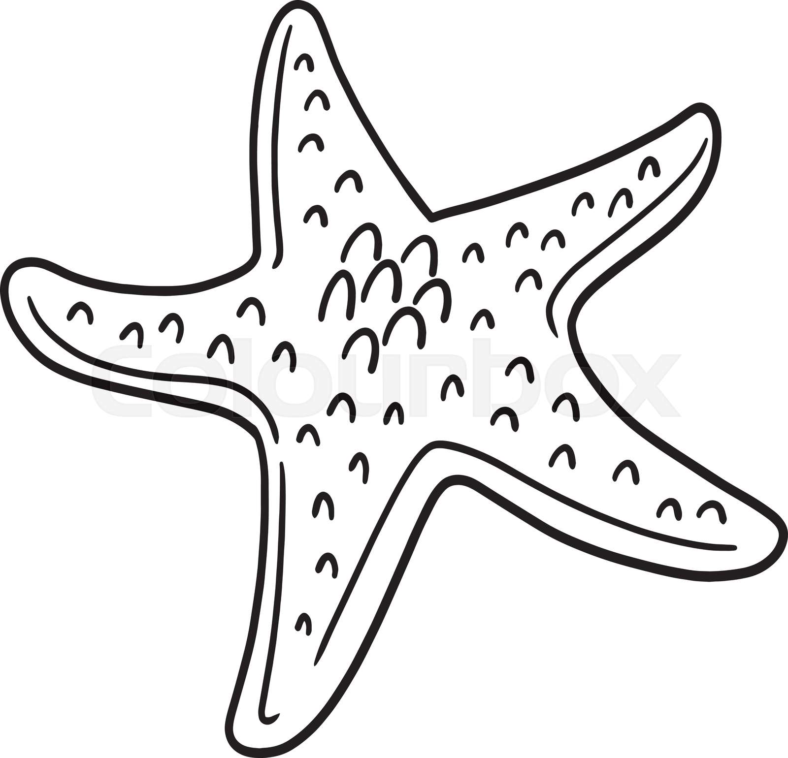 seestern, farbe, malbuch | Stock-Vektor | Colourbox