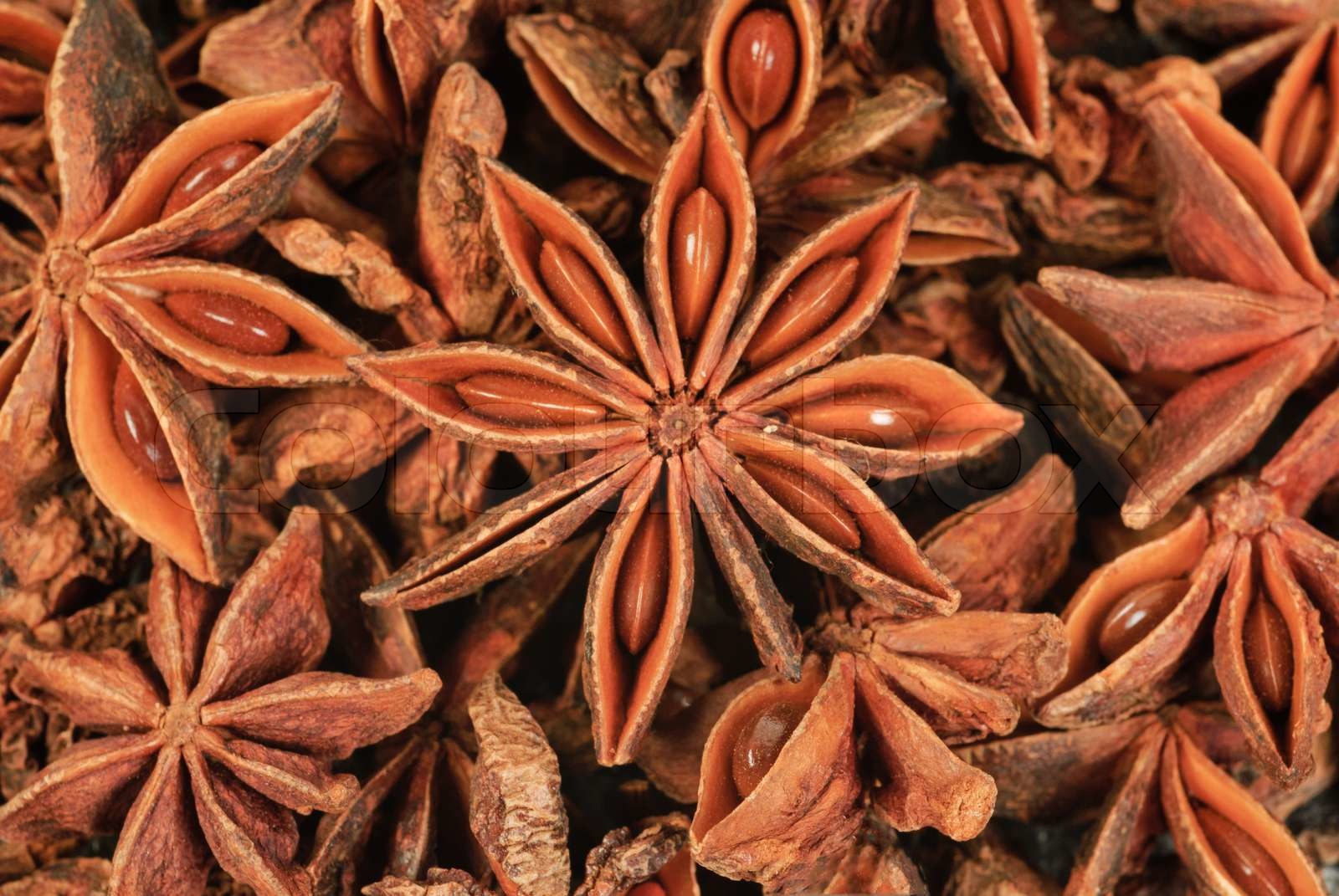 Fresh anise-star, nature spicebackground | Stock image | Colourbox