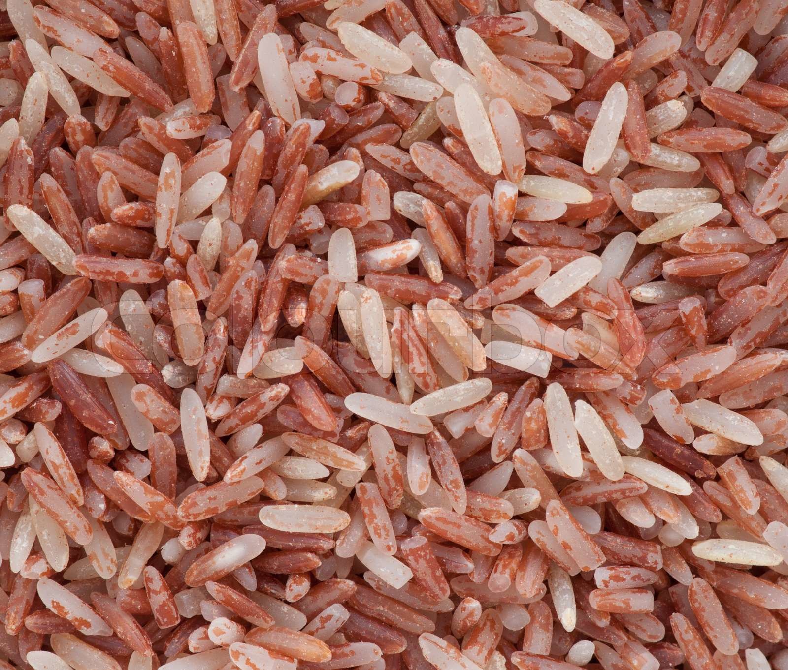 coarse rice | Stock image | Colourbox