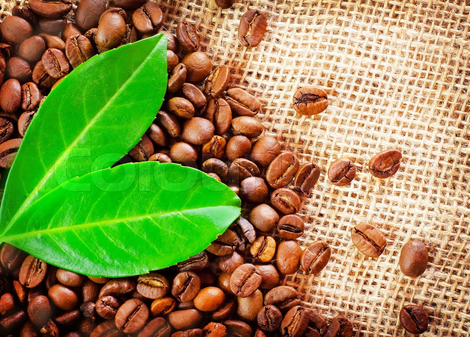 Kaffee | Stock Bild | Colourbox