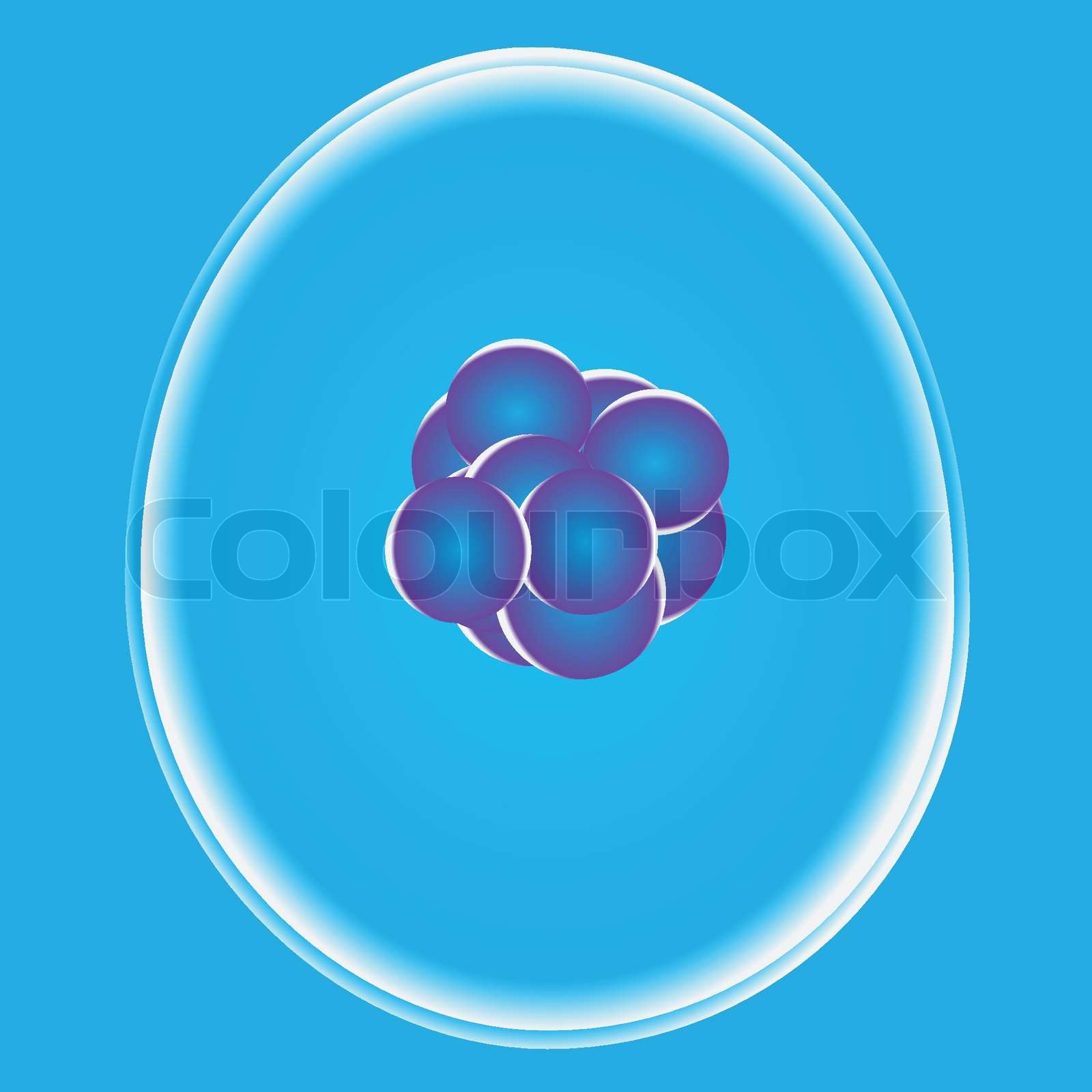 Stem cells | Stock vector | Colourbox