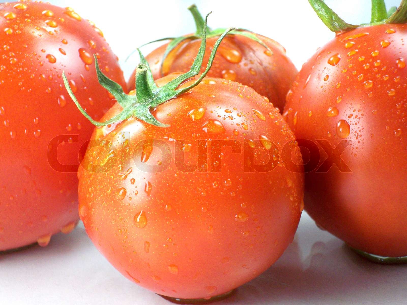 Red tomatoes | Stock image | Colourbox