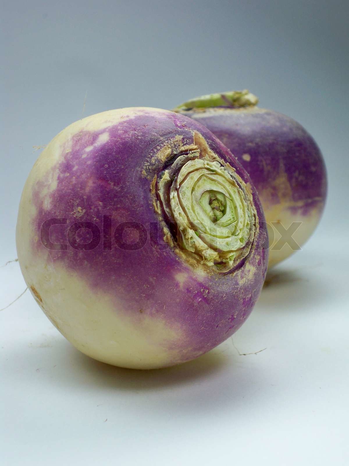purple headed turnips | Stock image | Colourbox