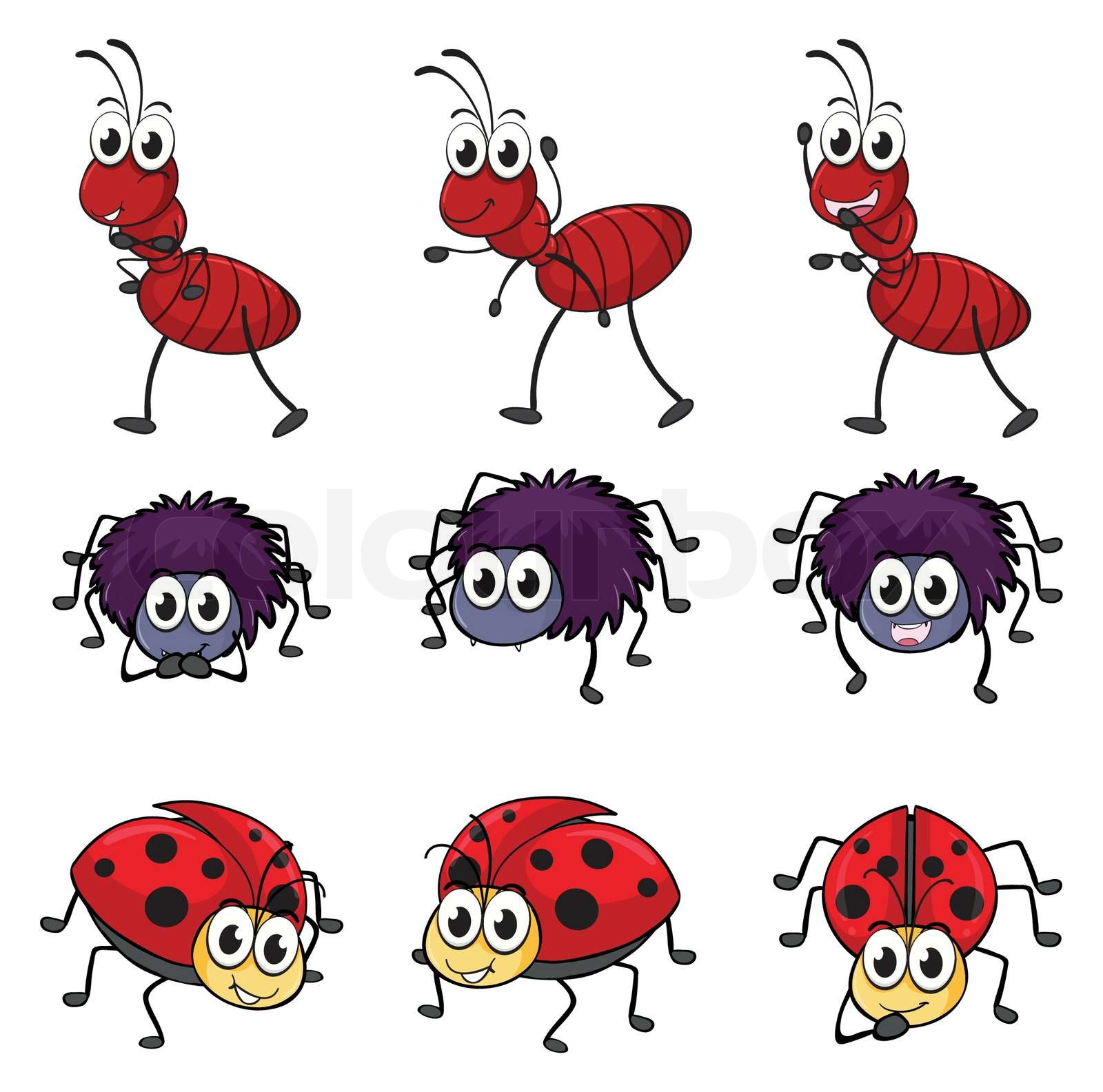 A Spider A Ladybug And An Ant Stock Vector Colourbox