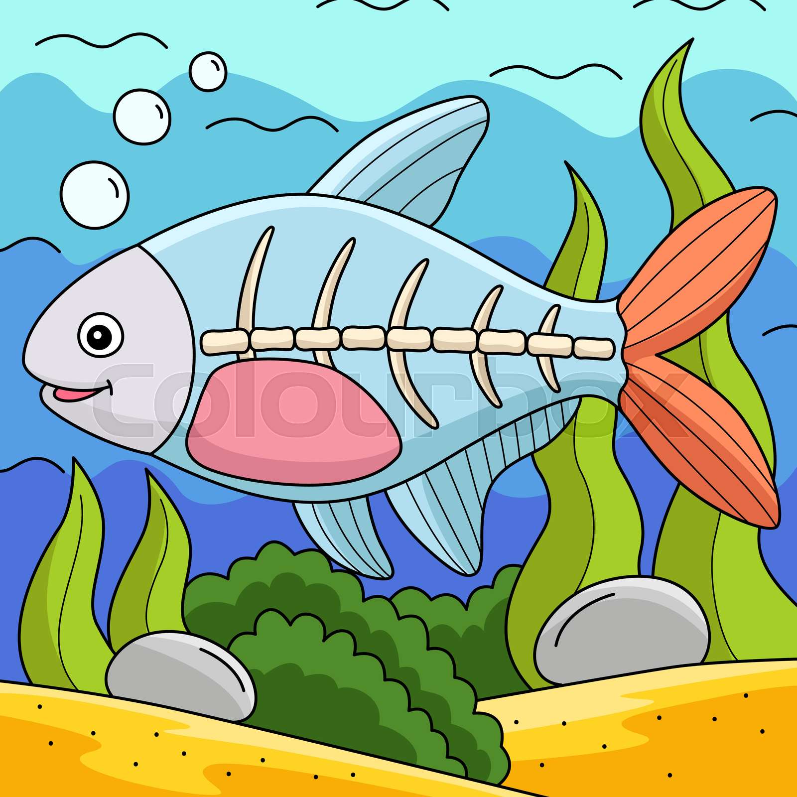 X Ray Fish Clipart