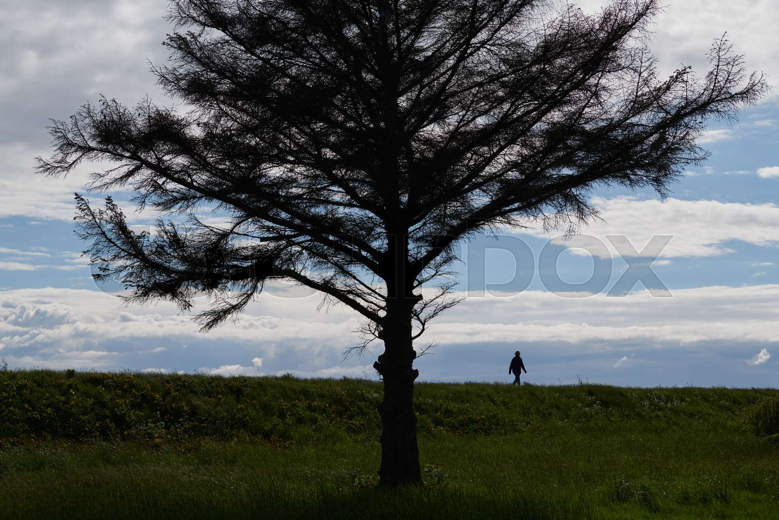 human, woman, wander | Stock image | Colourbox