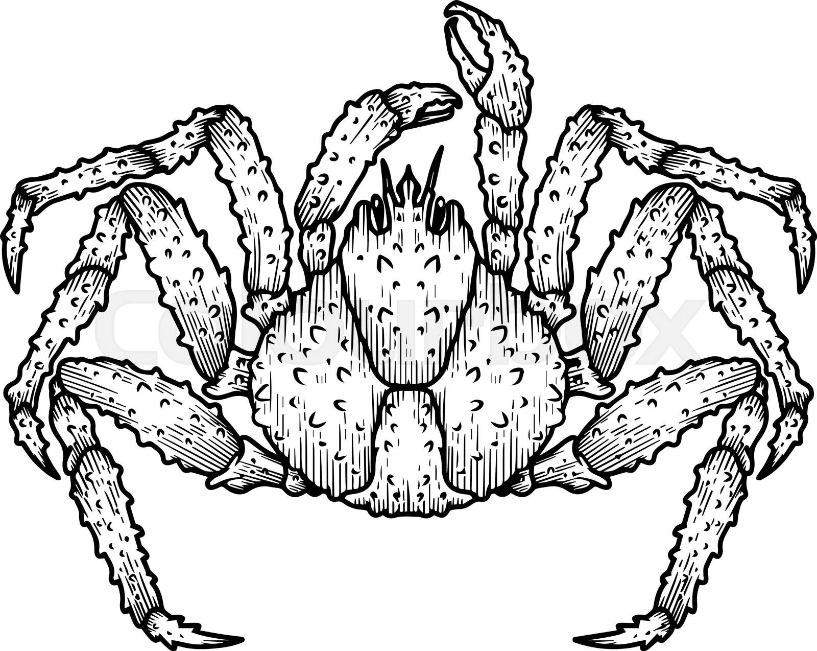 Illustration of japanese spider crab. Design element for logo, label ...