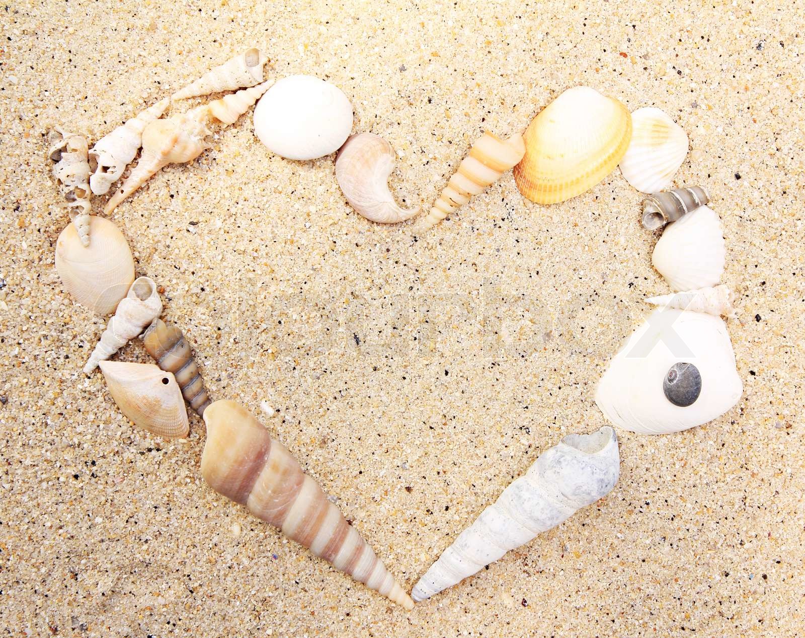 Sea Shell heart shape | Stock image | Colourbox