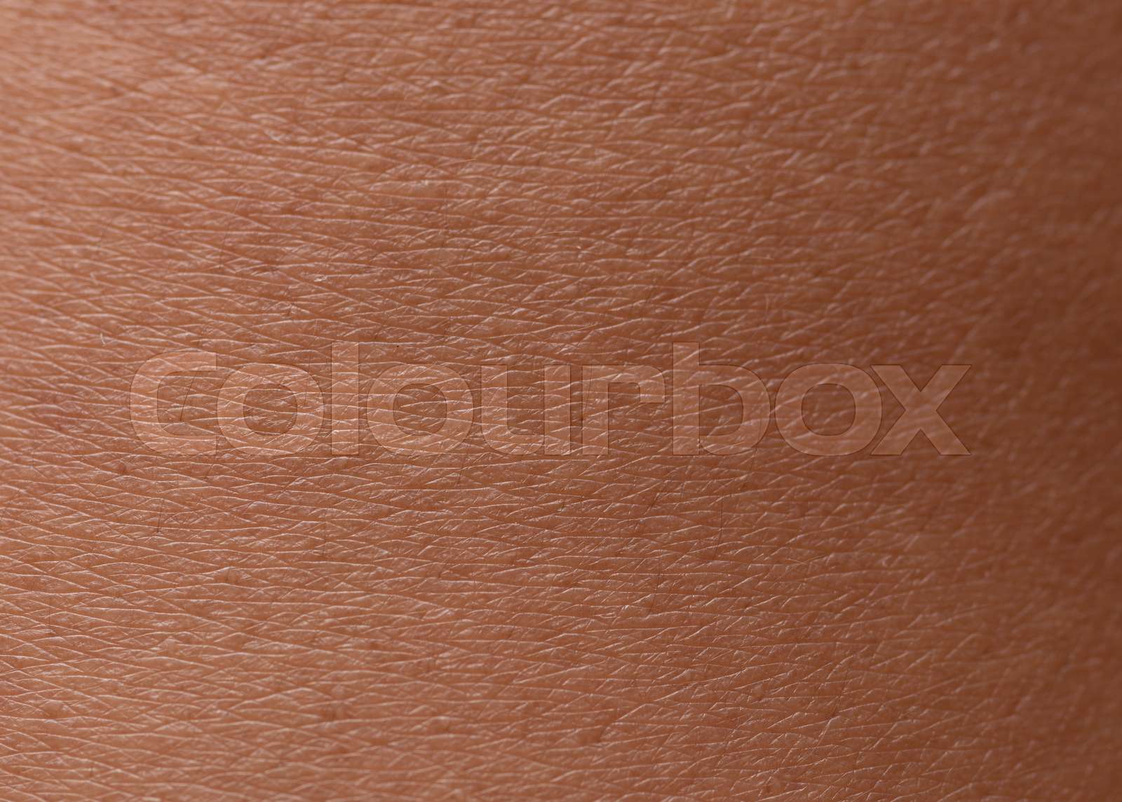 Tan Skin Texture