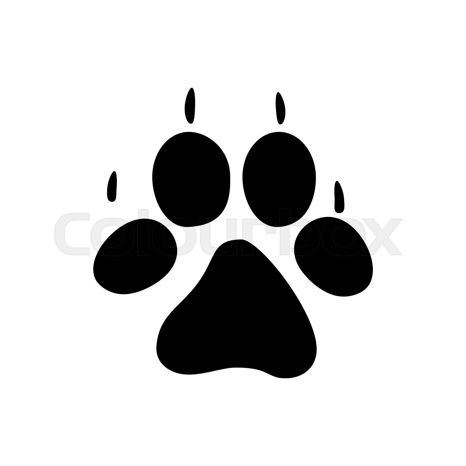 fuchs, pfote, fußabdruck | Stock-Vektor | Colourbox