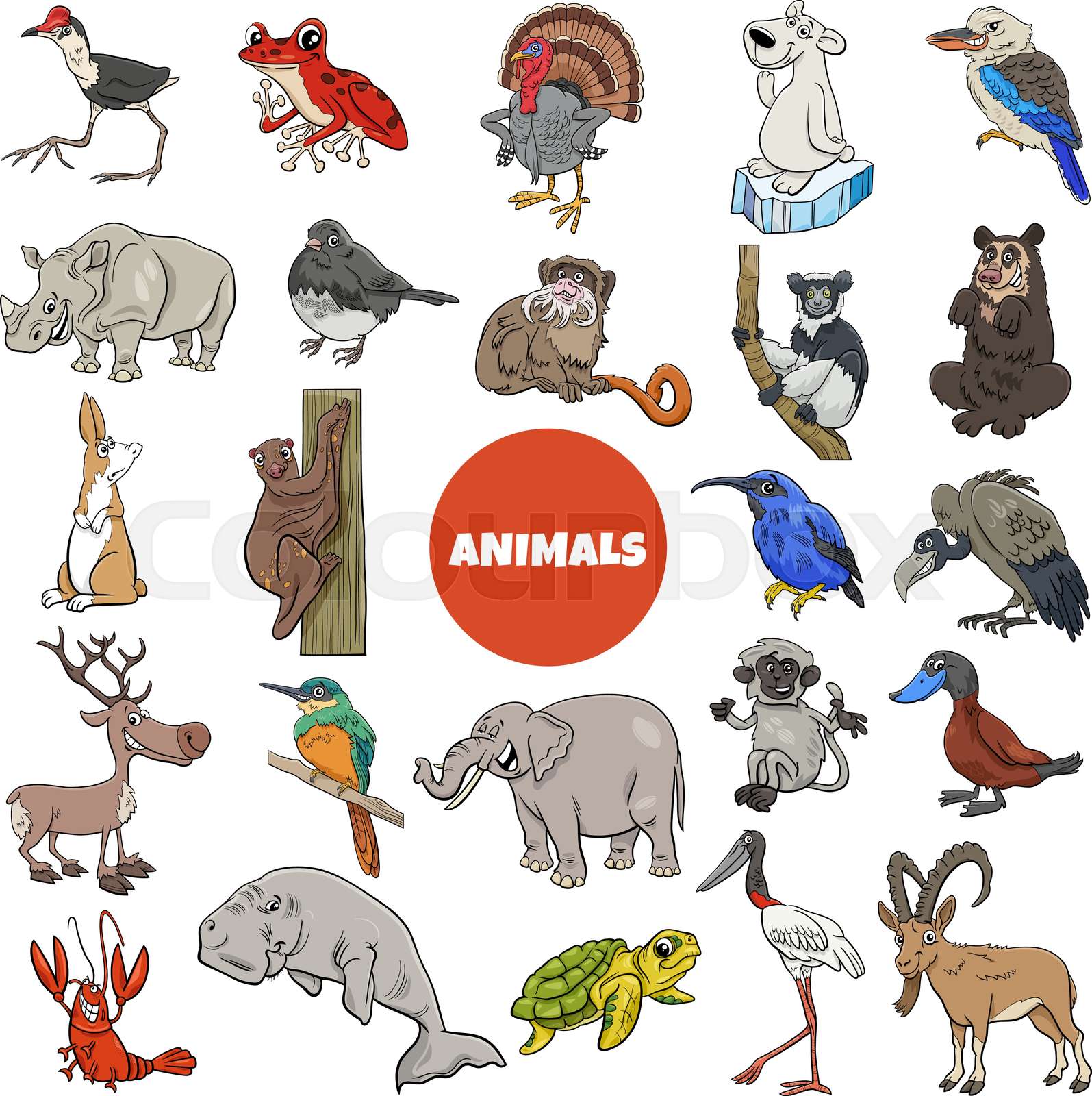 Types Of Wild Animals