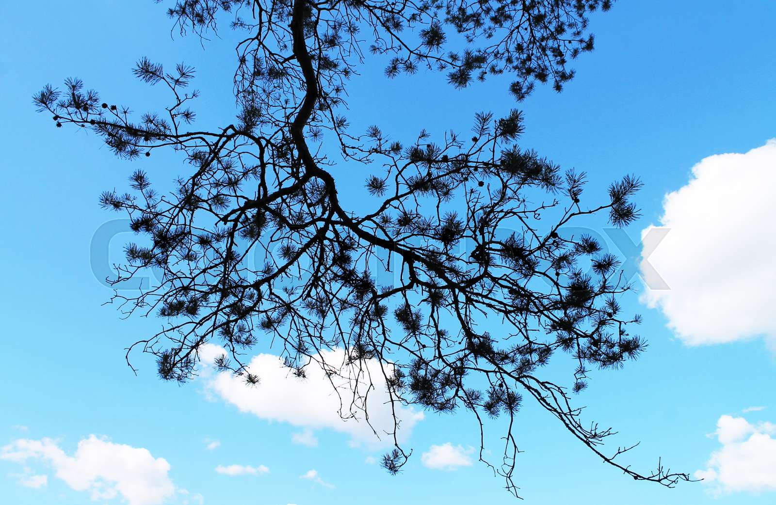 blue, landscape, look | Stock image | Colourbox